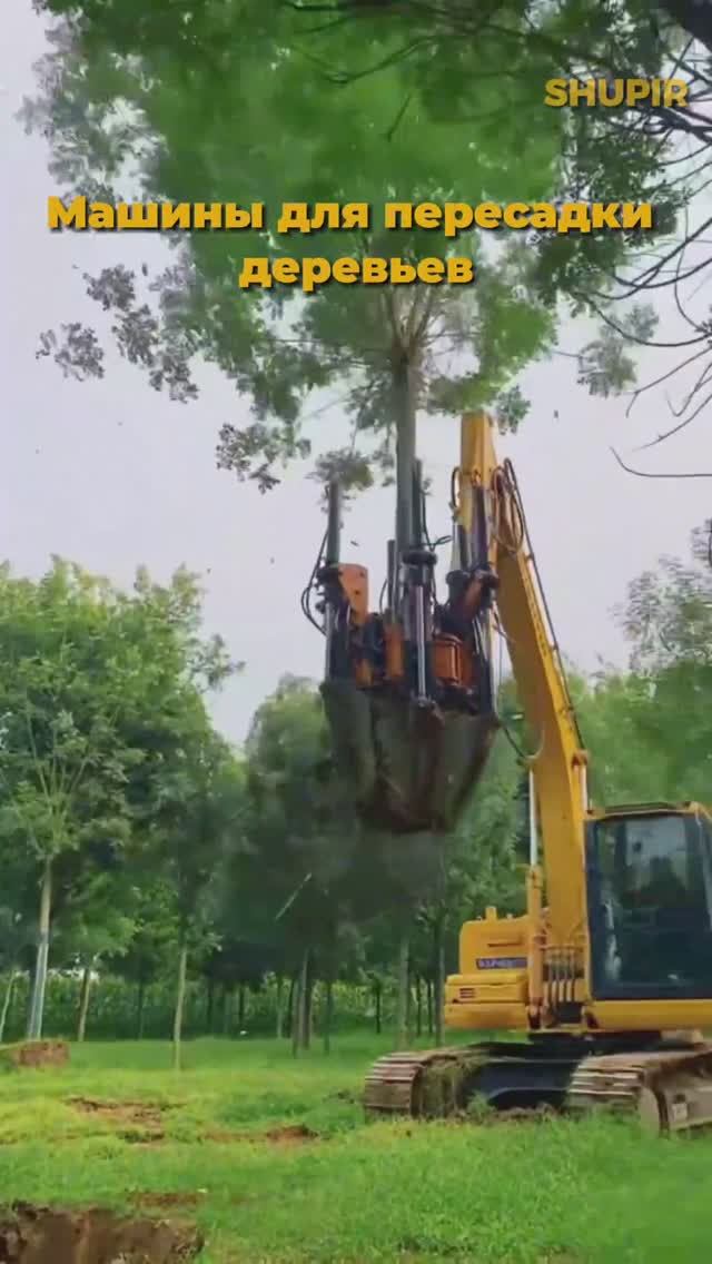 Машина для пересадки деревьев #спецтехника #транспорт #трактор #экскаватор #Агротехника #Пересадка