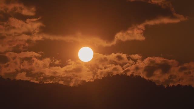 Спокойно, товарищ, спокойно