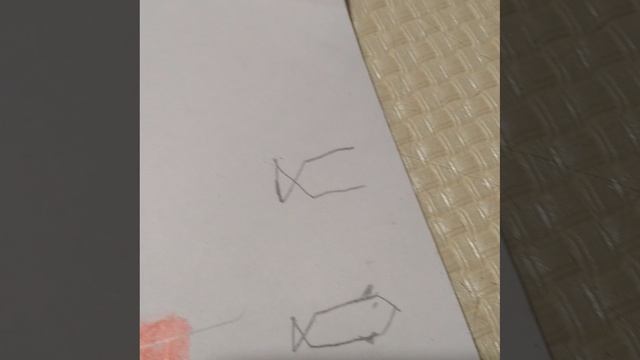 КАК ИЗ КОРНЯ СДЕЛАТБ РЫБКУ!!!