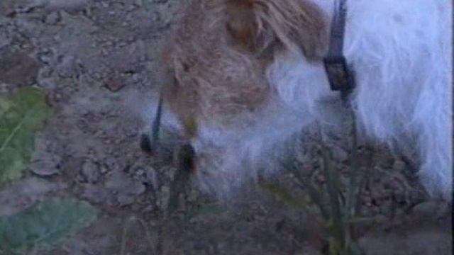 2015 Сенmябрь Мама я