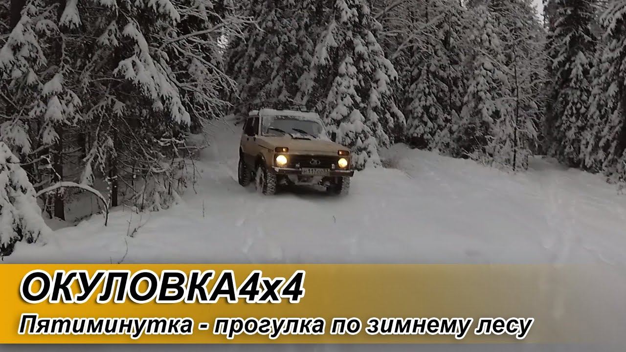 Пятиминутка - прогулка по зимнему лесу