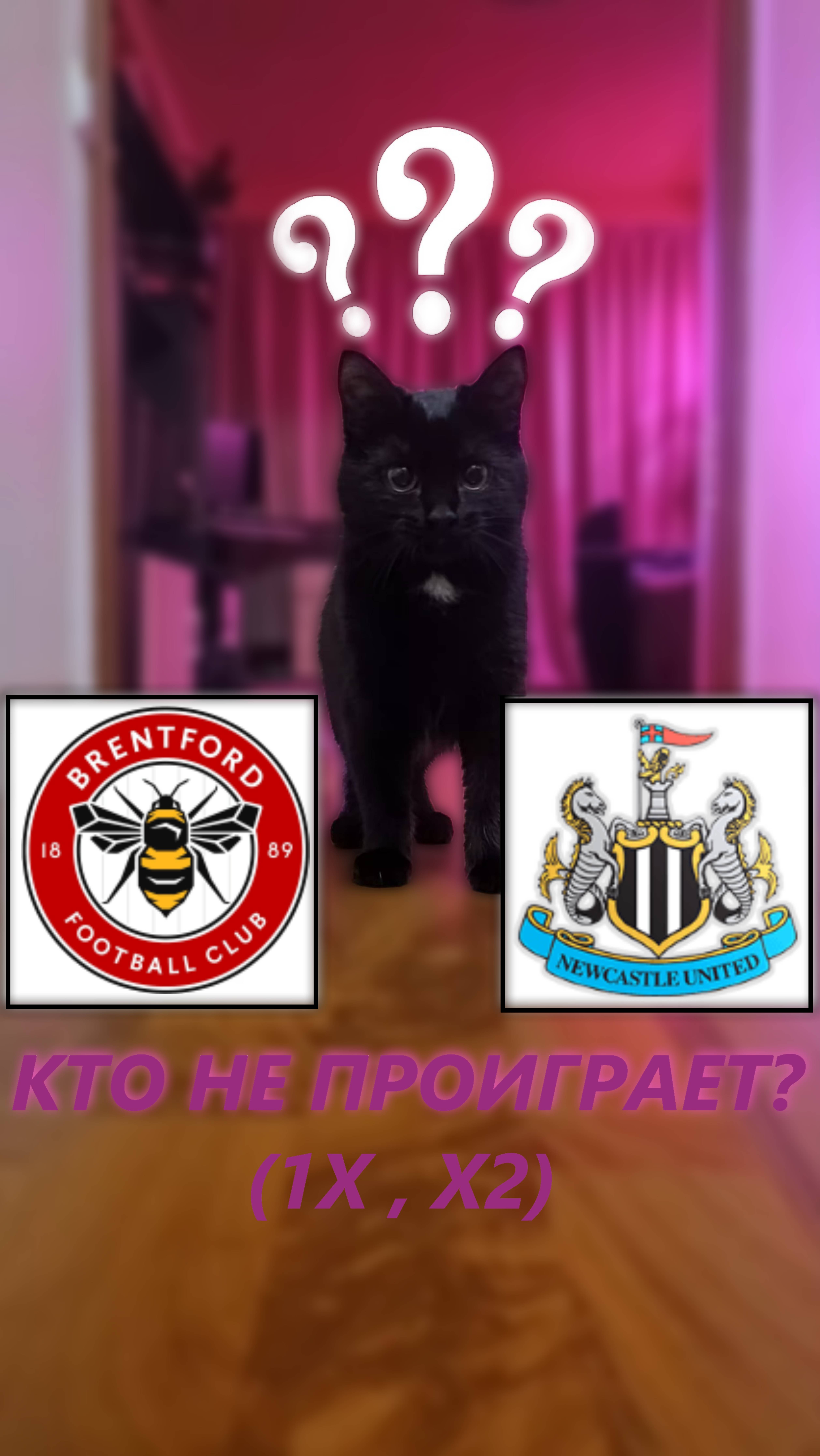 Прогноз на 15 тур Английской Премьер Лиги Брентфорд - Ньюкасл