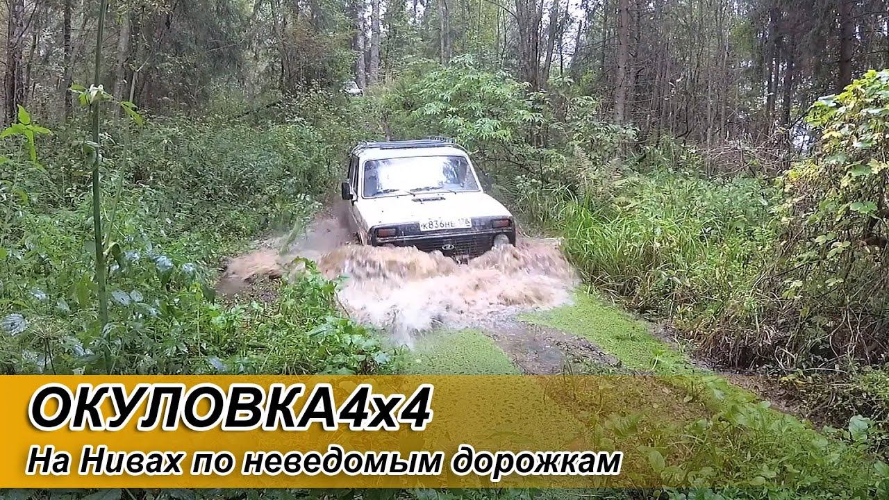На Нивах по неведомым дорожкам #Safari510#Niva#Нива