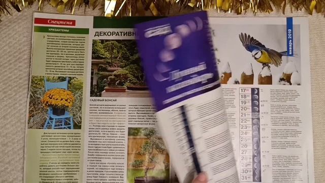ASMR magazine & brush / АСМР журнал и кисть / шёпот