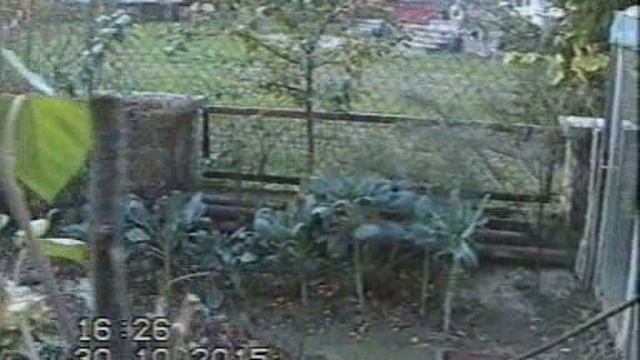 2015 Октябрь Мама я