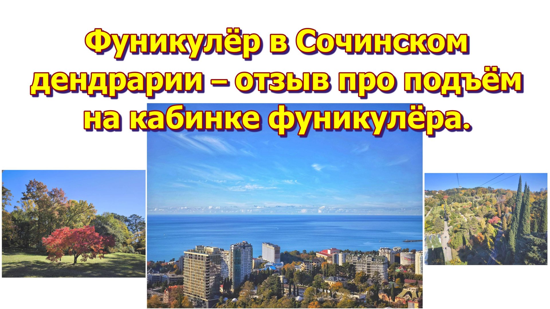Фуникулёр в Сочинском дендрарии – отзыв про подъём на кабинке фуникулёра.