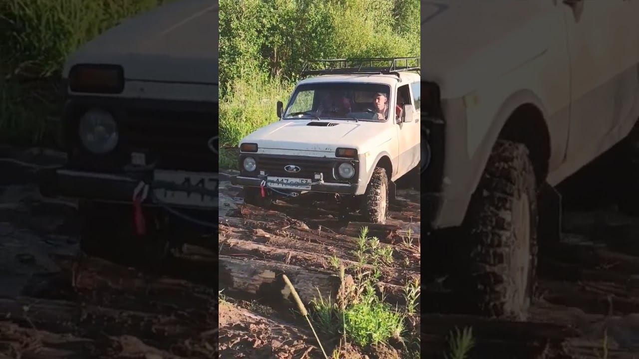 На Ниве по топляку