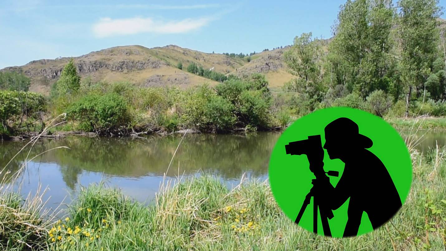 На берегу пруда в лесу / Звуки природы для расслабления, крепкого сна и снятия стресса