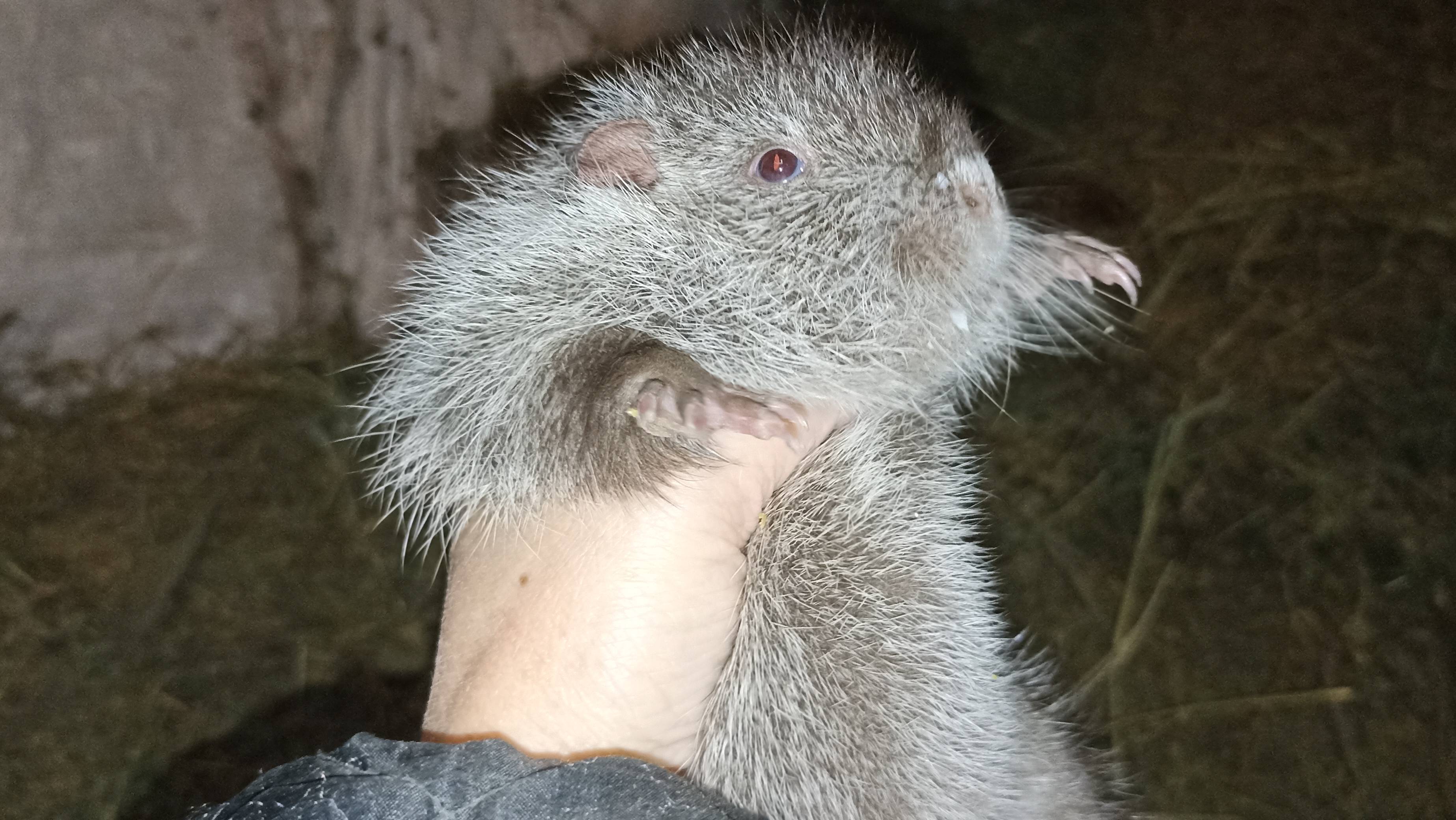 У НУТРИЙ меня ждал приятный СЮРПРИЗ. 25.10.24