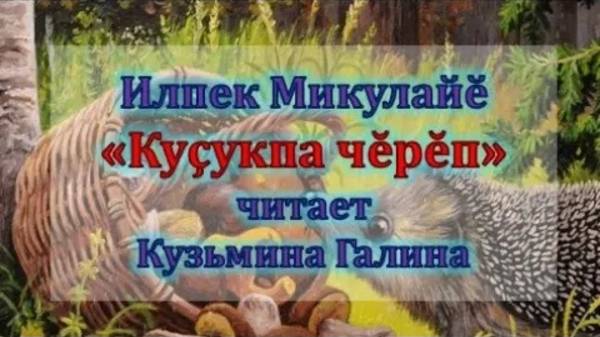 "Куçукпа чĕрĕп" Илпек Микулайĕ