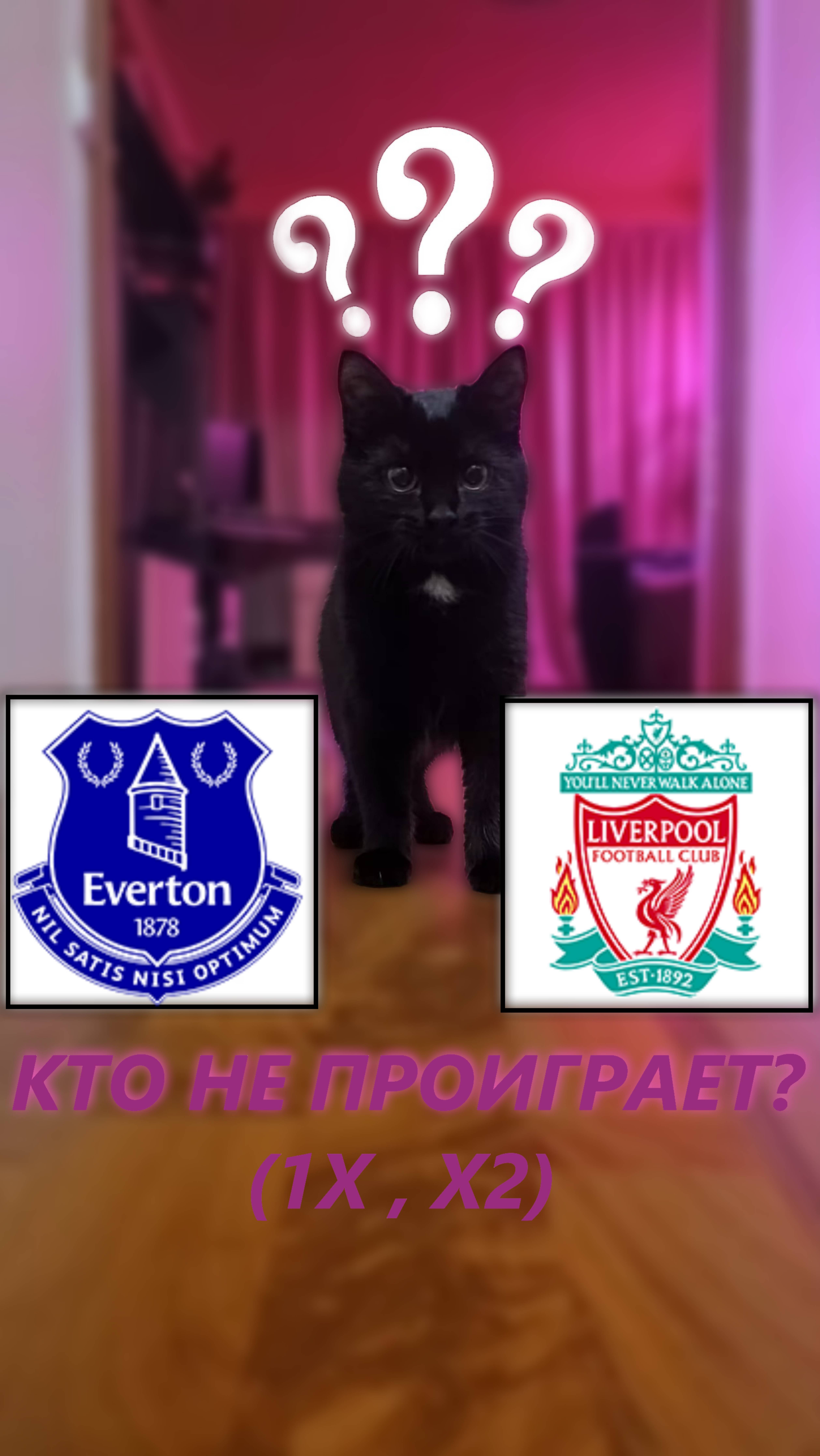 Прогноз на 15 тур Английской Премьер Лиги Эвертон - Ливерпуль