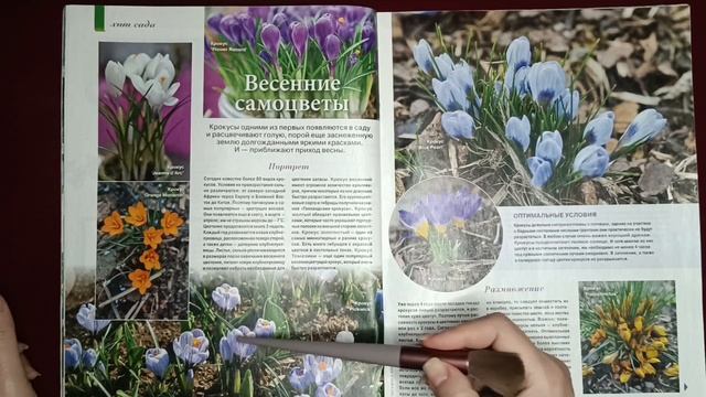 ASMR magazine & brush / АСМР журнал и кисть / шёпот