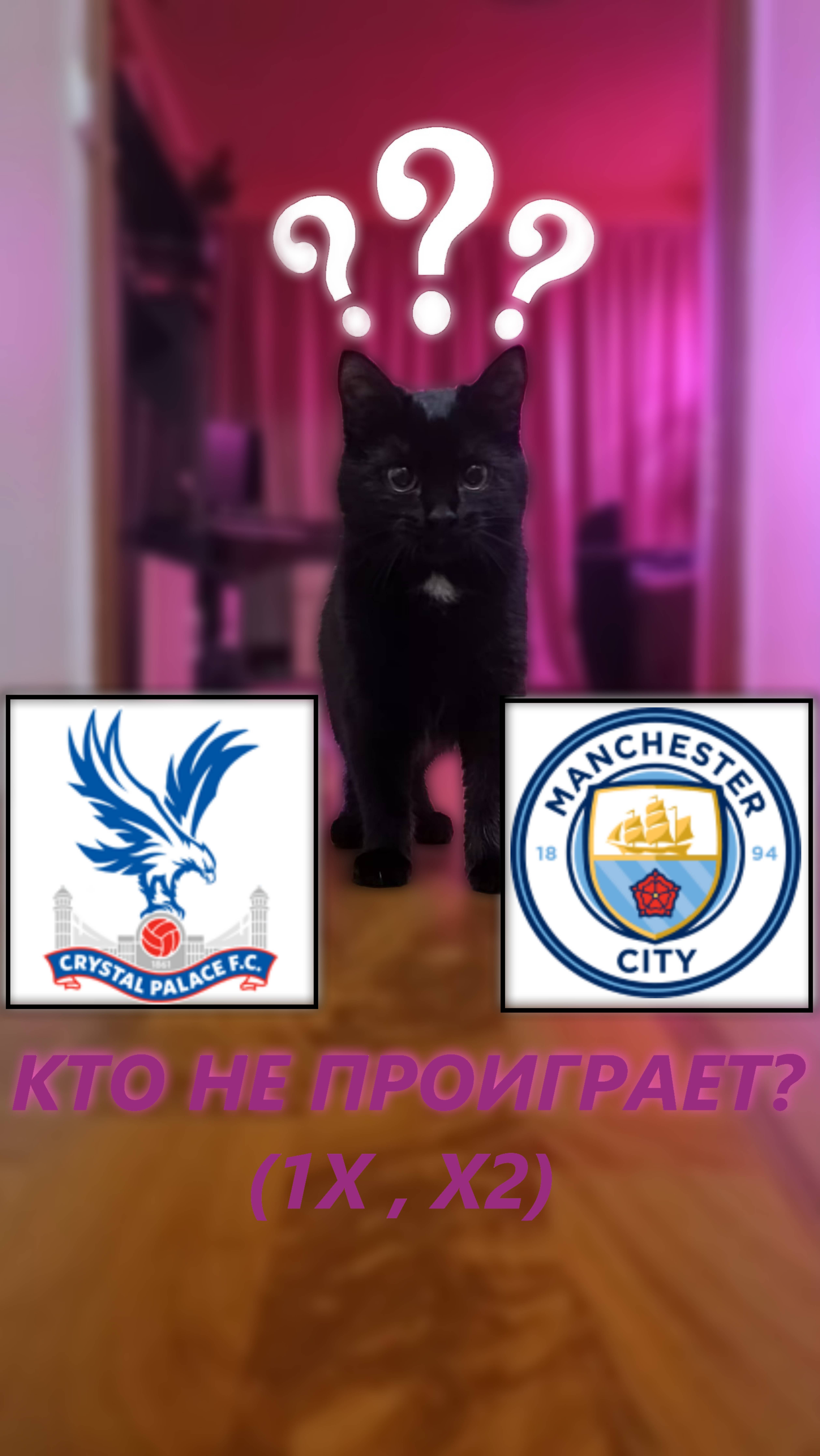 Прогноз на 15 тур Английской Премьер Лиги Кристал Пэлас - Манчестер Сити