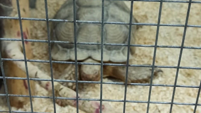 зоопарк зооландия9👍👍👍