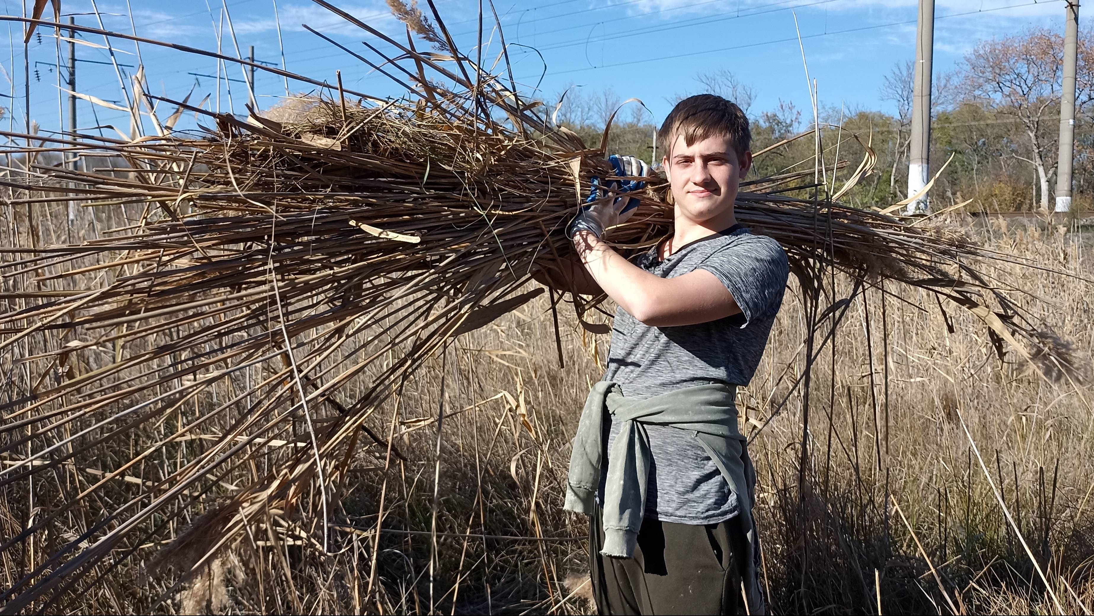 Заготовка ТРОСТНИКА для НУТРИЙ. 27.10.24