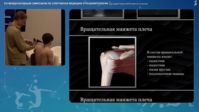 СпортМед 29.11.24 2 зал 4 часть малый