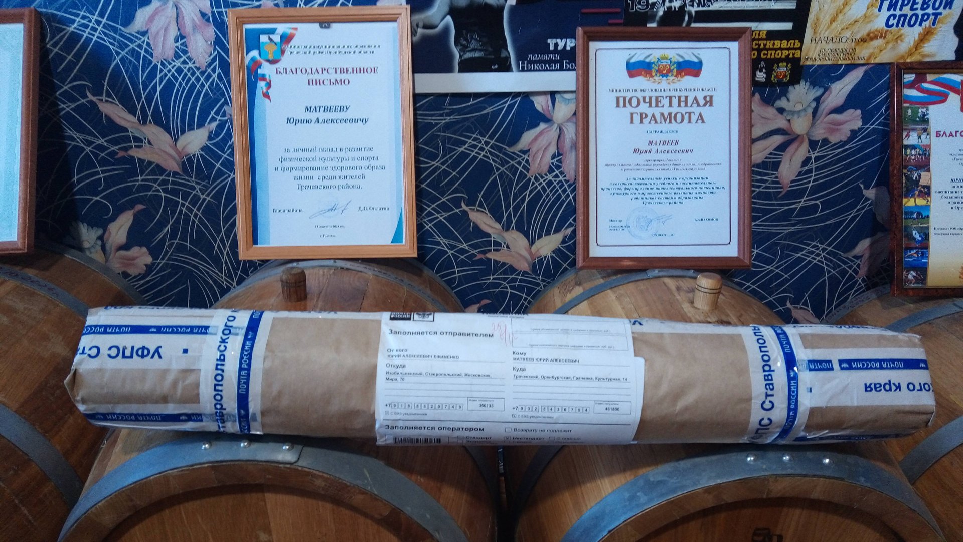 Саженцы винограда от Ефименко Юрия Алексеевича 06.12.2024 года.