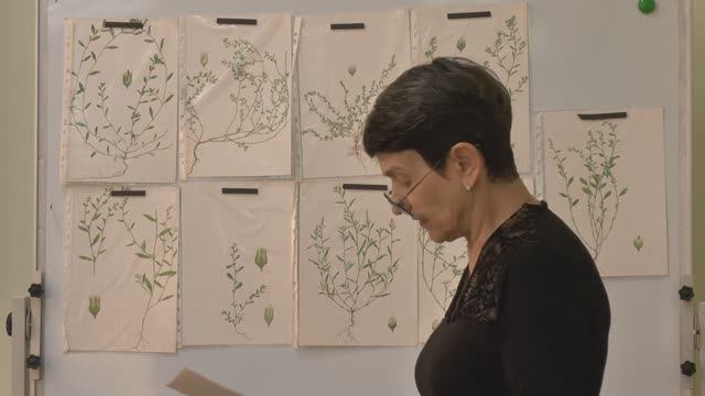 2024 Современные биоэкологические и химические исследования в системе педагогического образования