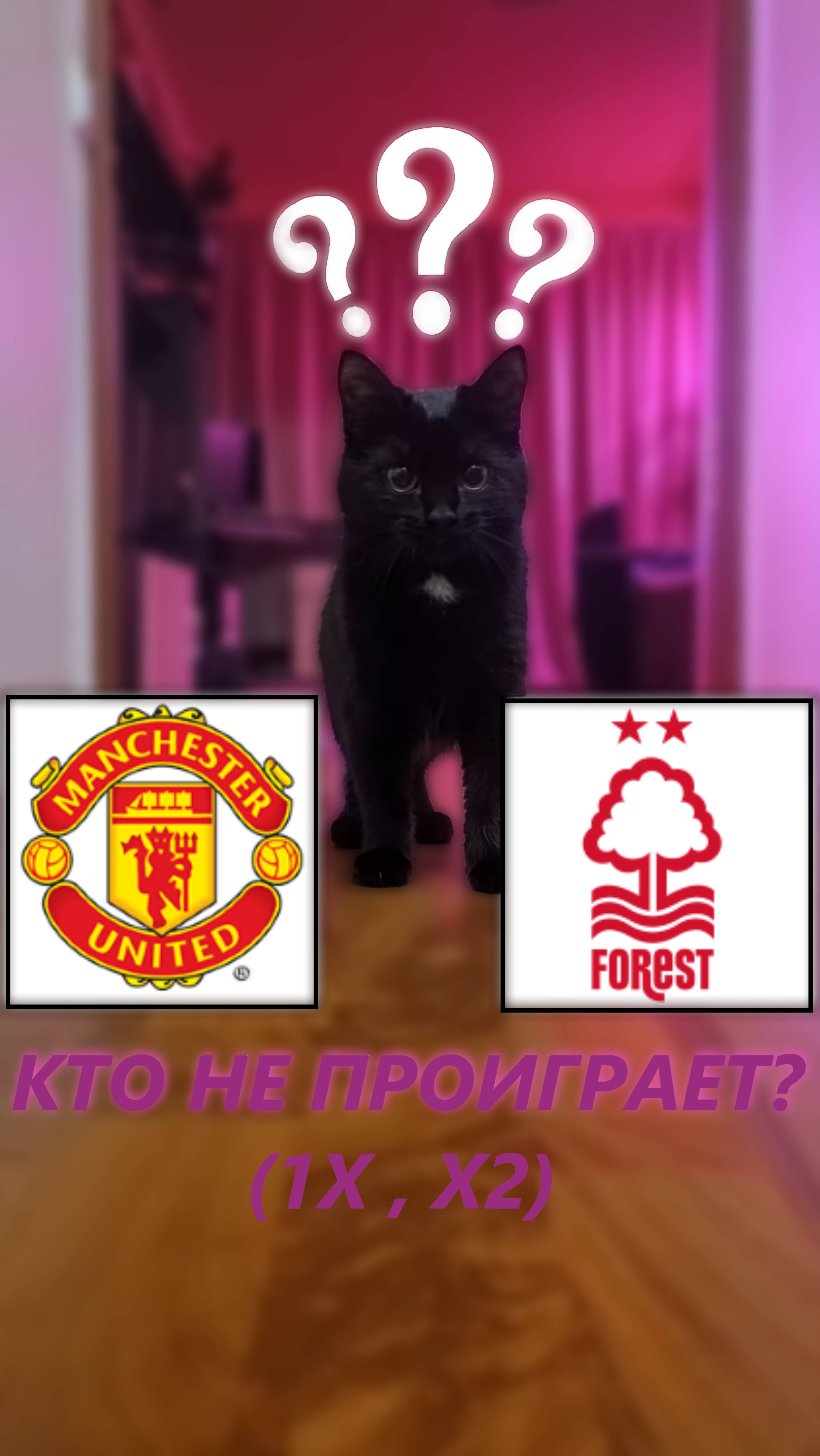 Прогноз на 15 тур Английской Премьер Лиги Манчестер Юнайтед - Ноттингем