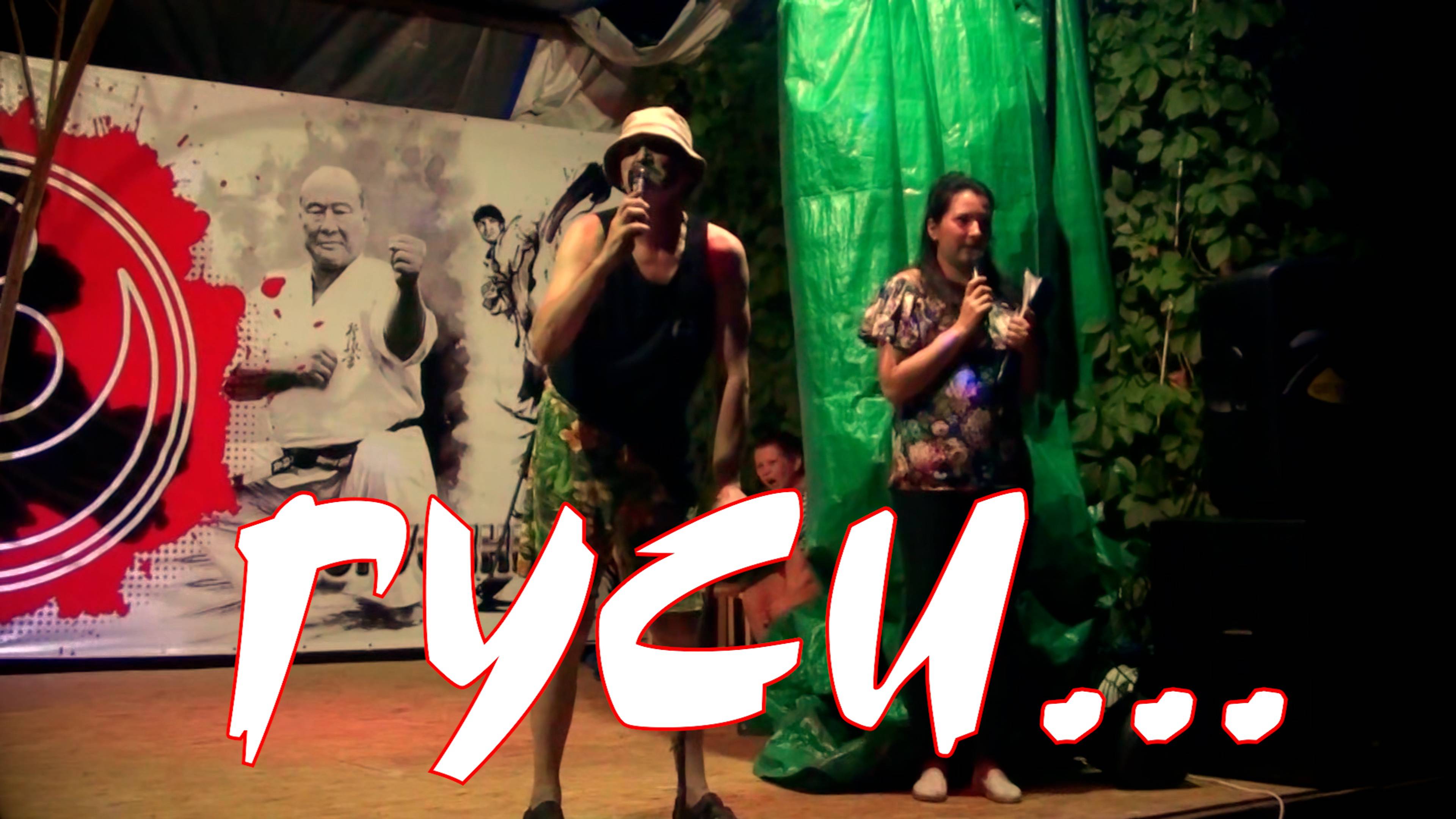 Гуси..(юмор)