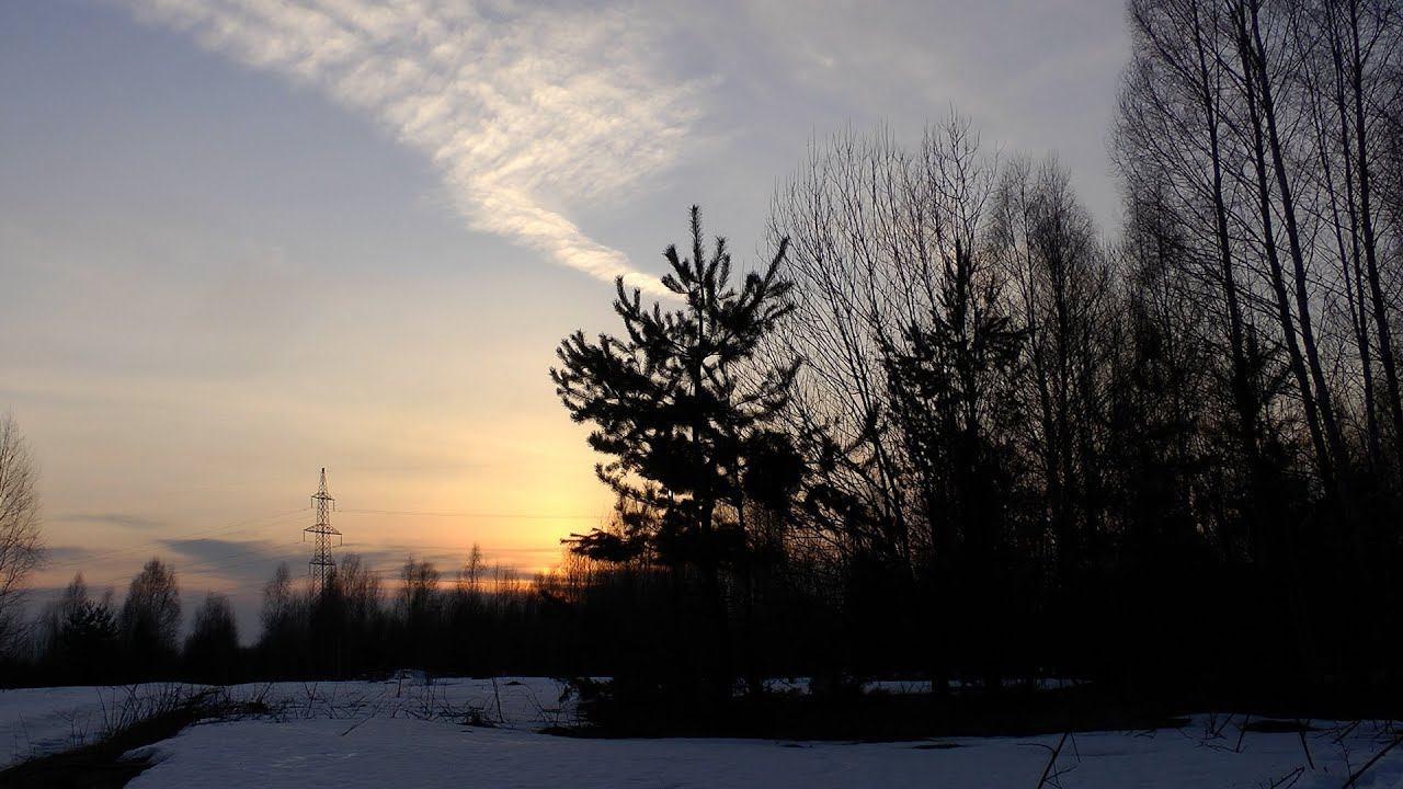 Охота на вальдшнепа | Душевная тяга | Весна 2022