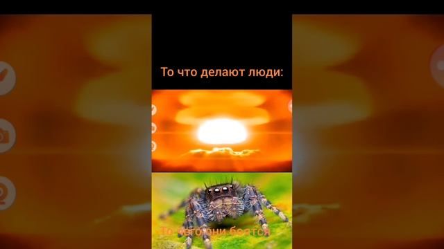 то что делают люди и чего они бояться 😁😅🤣