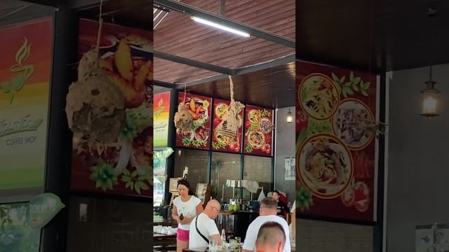 Ресторанчик и большие черепахи / Сай Йок - Tha Sao   Таиланд