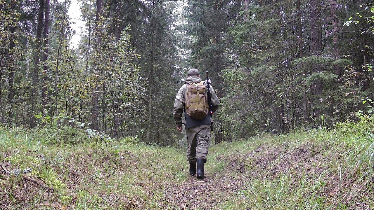 Охота на рябчика по классике | Тихая охота  | Сезон 2021