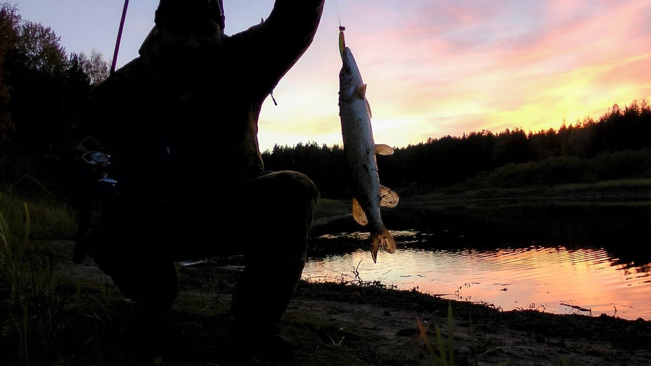 Пулемётный клёв щуки | Попали на жор | Рыбалка на малых реках