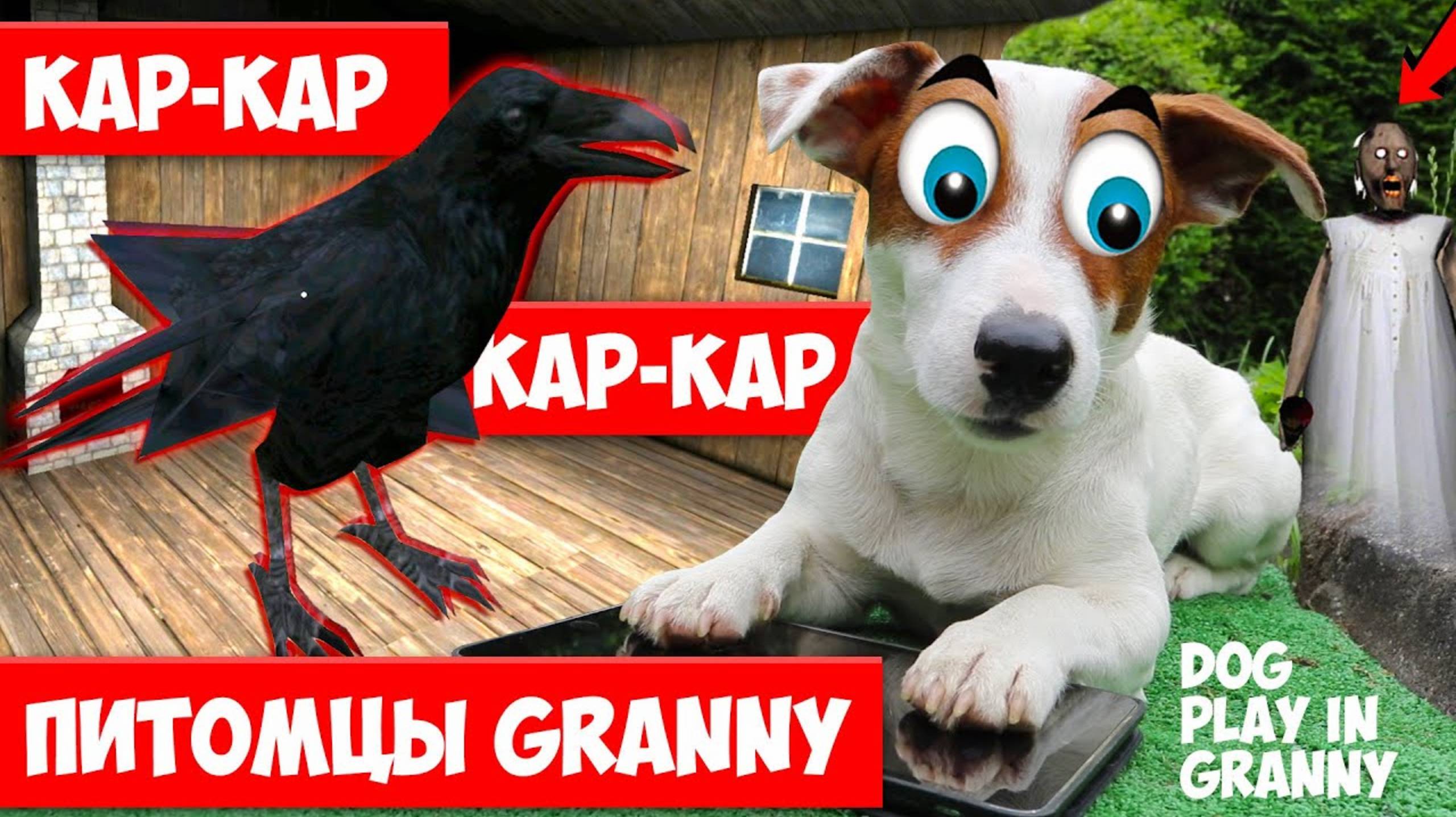 КОРОЧЕ ГОВОРЯ ► СОБАКА ИГРАЕТ В GRANNY ► ПИТОМЦЫ ГРЕННИ ►ВОРОН
