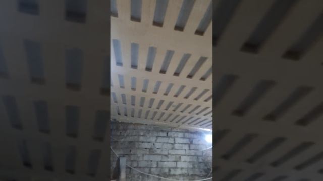 video_2024-12-05_18-24-15