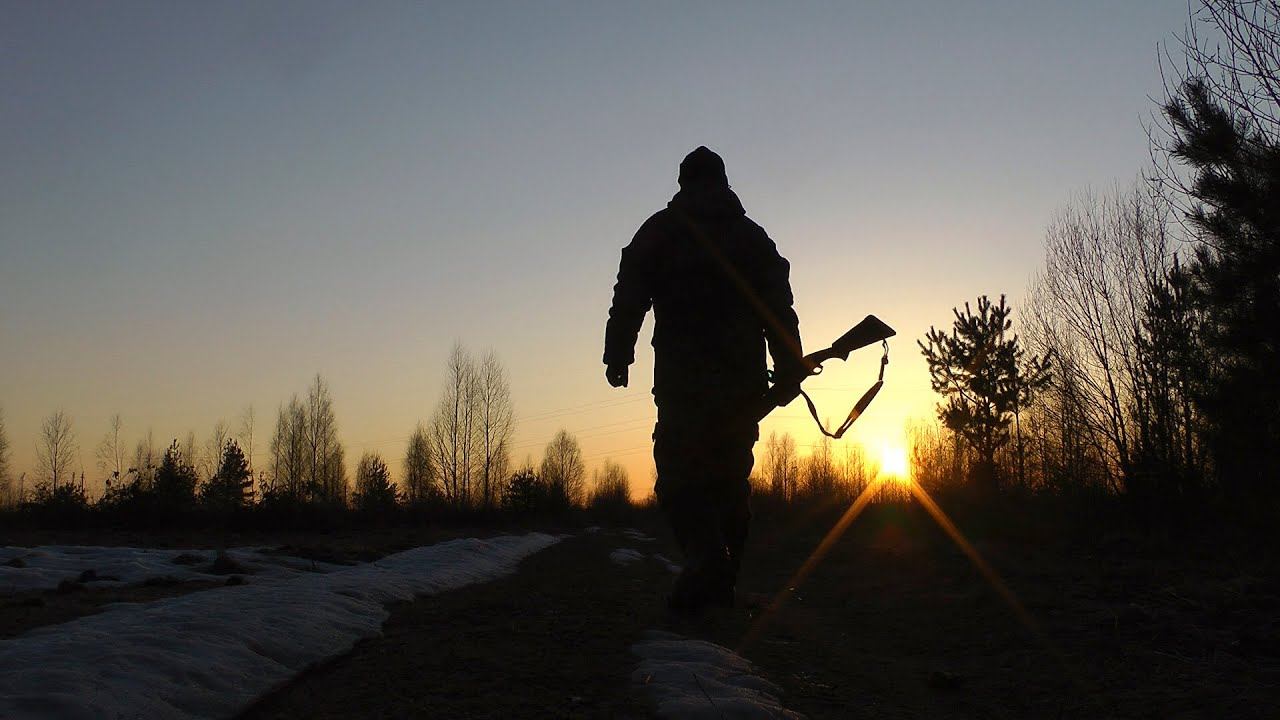 Охота на вальдшнепа | Весенняя тяга 2021 | Душевная охота