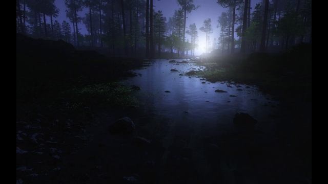 Звуки Ручья в Ночном Лесу. Нежное Журчание Ручья. Расслабляющие Звуки Природы