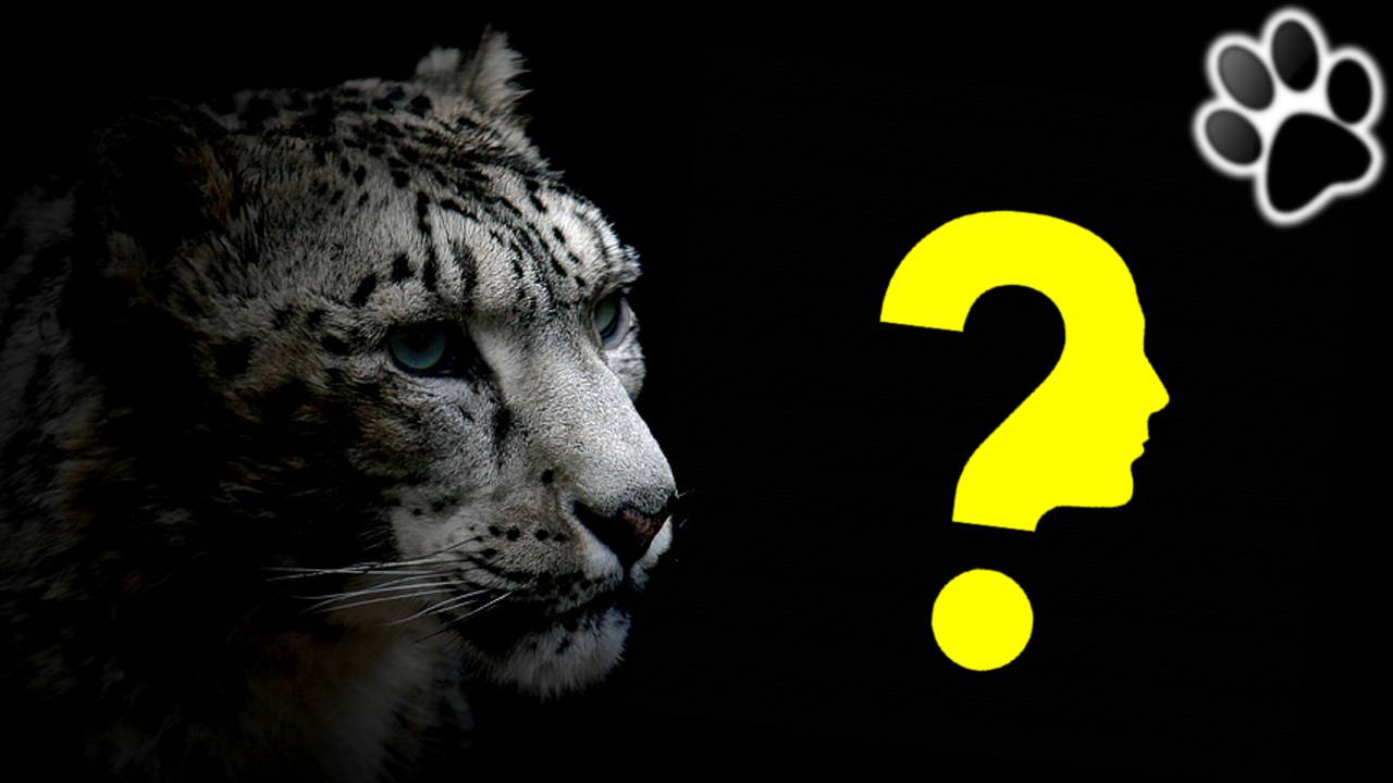 BARS_OFF ВОЗВРАЩАЕТСЯ ??