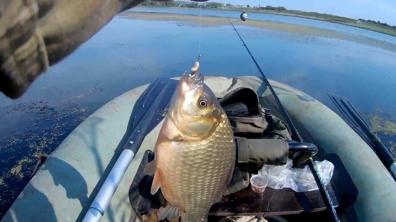 Ловля карася на подмосковном водоеме. Окончание Августа 2017.