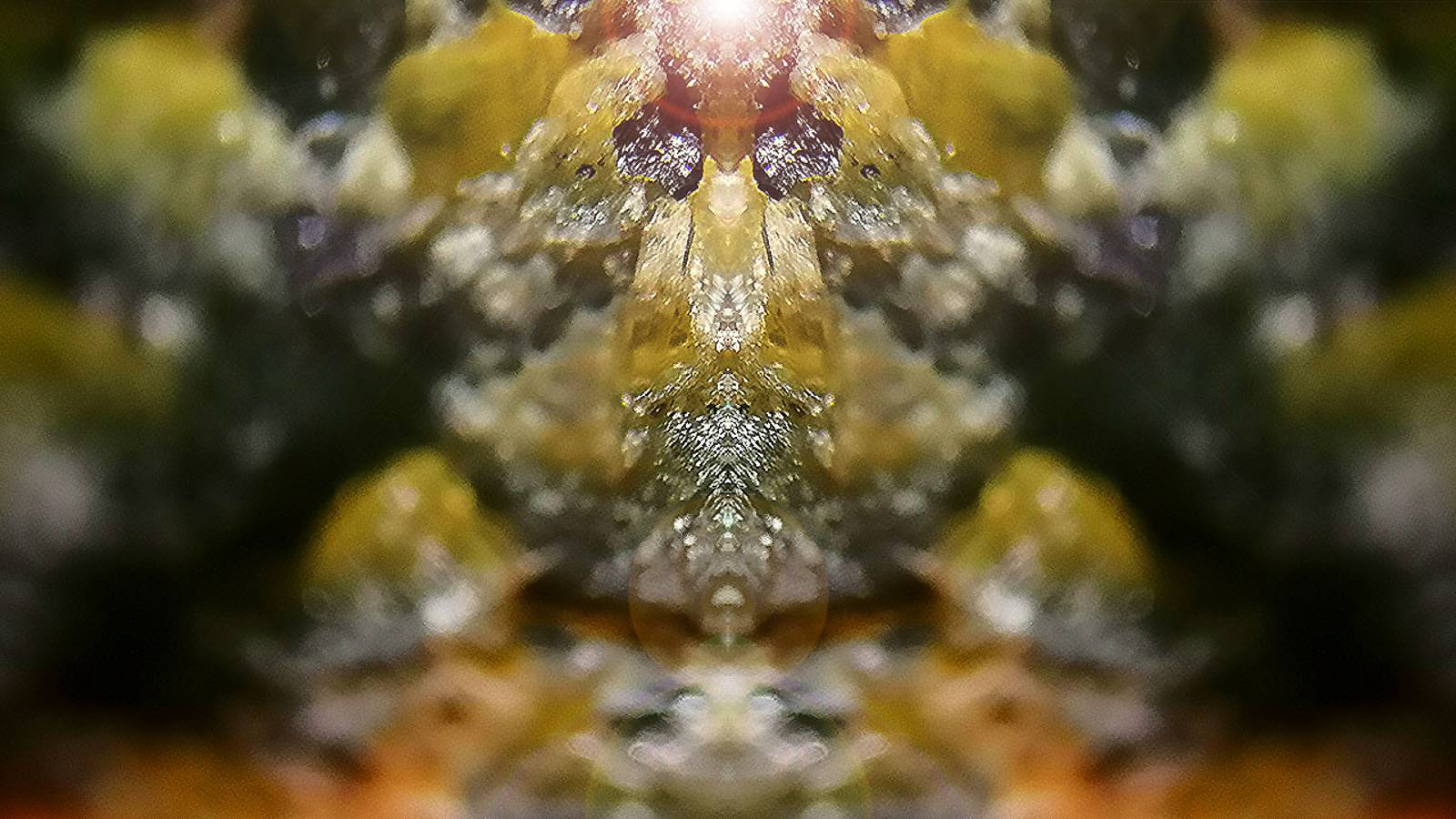 Минералы в отражении. Интересные образы микромира.