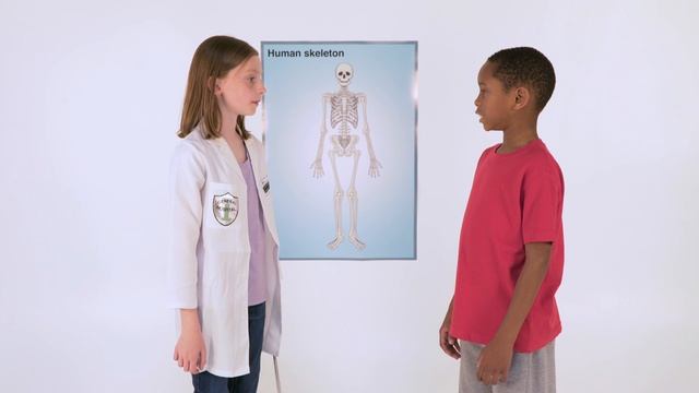 AS_3_LIU_9 Sports people have to eat the right foods.