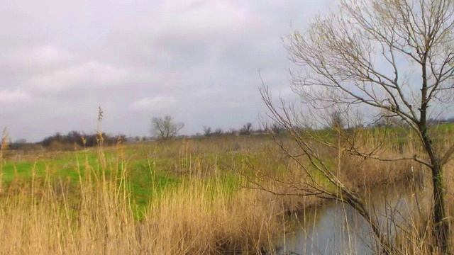 Моя Родина,  13-й выпуск.