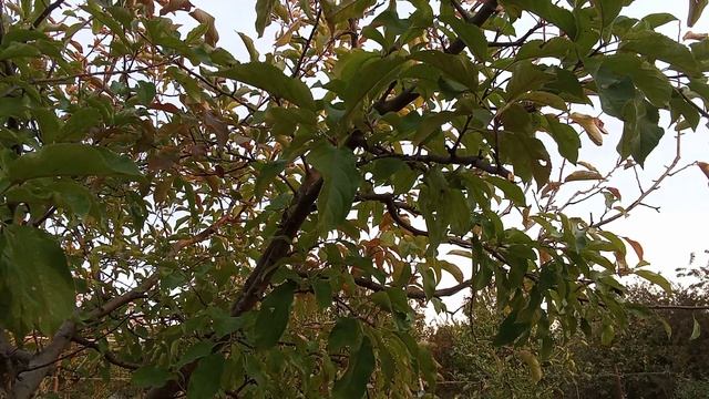 Просто ветер и ничего лишнего!!!