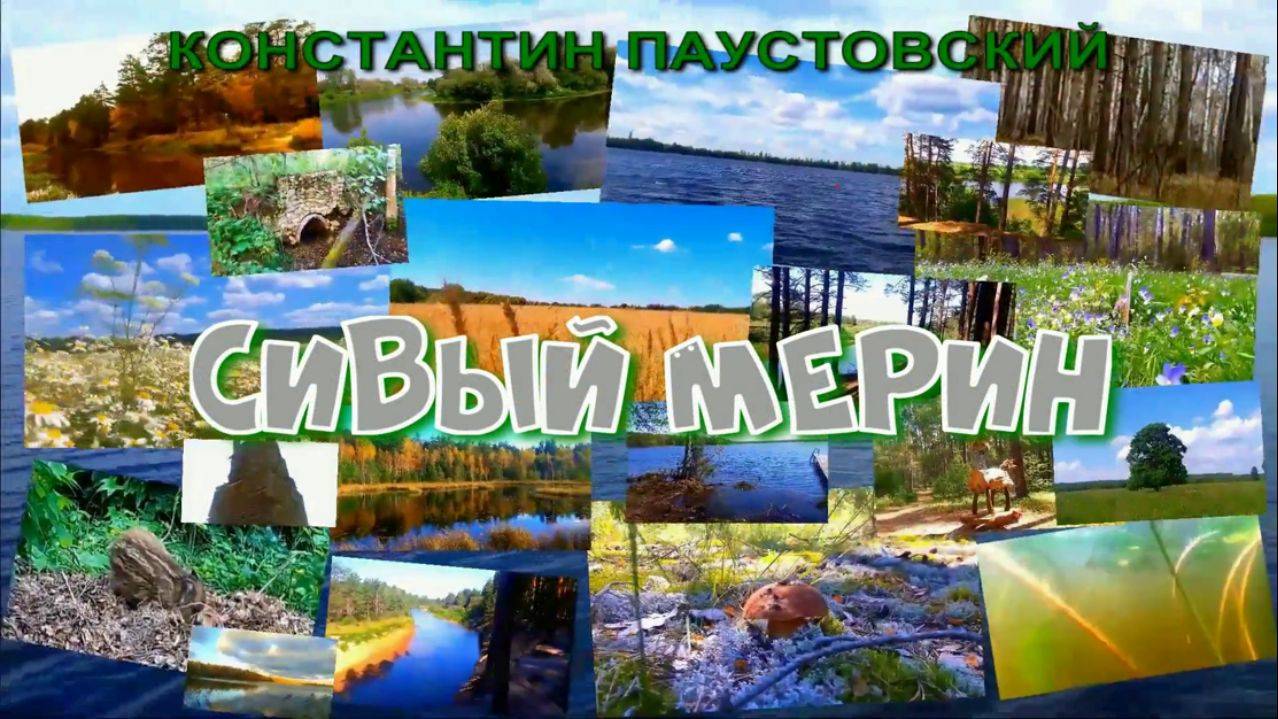 АУДИОКНИГА  ,,СИВЫЙ МЕРИН,,КОНСТАНТИН ПАУСТОВСКИЙ