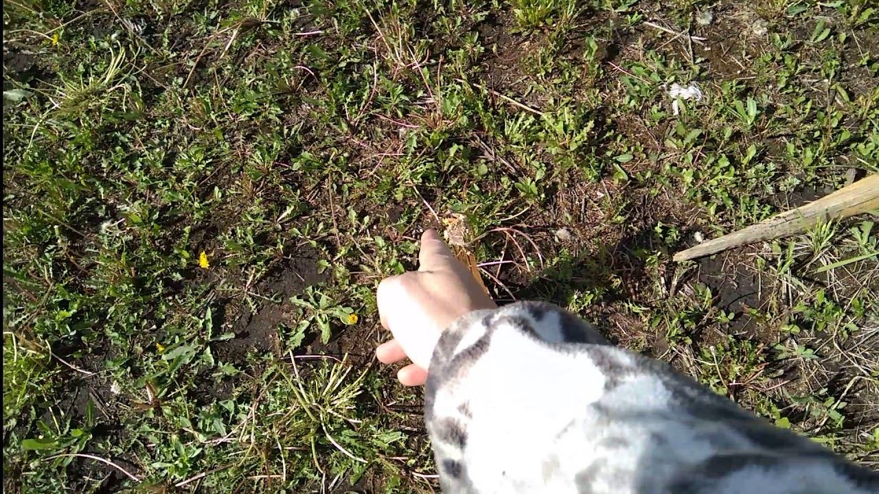 Разметка дома 2. Жду трактор.