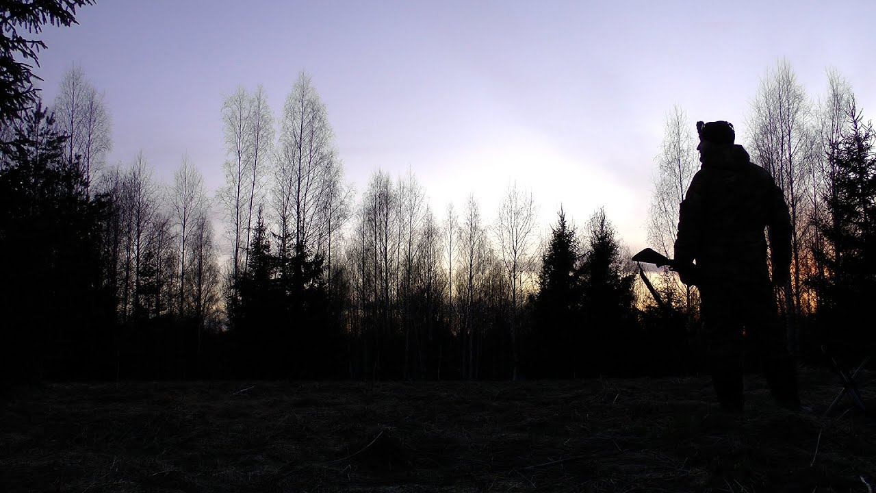 Охота на вальдшнепа | В тайге под дождем | С радугой и тетеревами