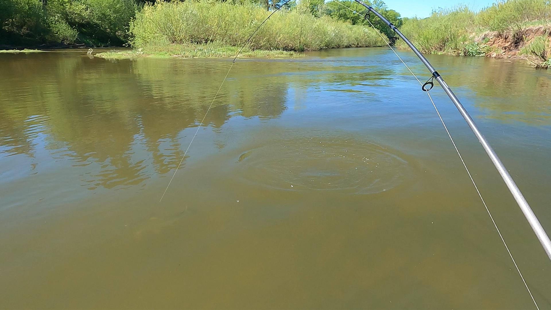 Сплав до Лисьи в мае 2024 года