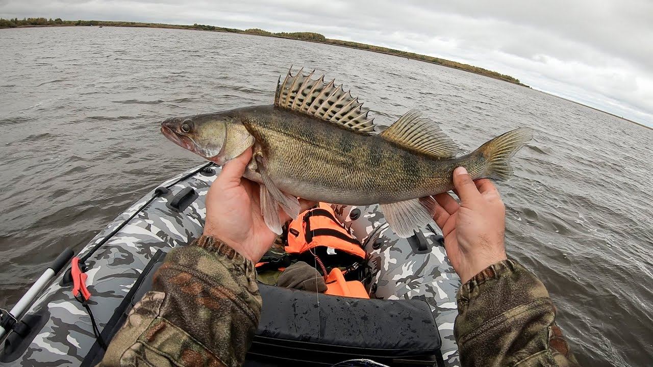 Охота на судака | Готов ли я к трофею? | Рыбалка в октябре