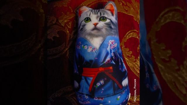 мой мем (Skicat) #мем#