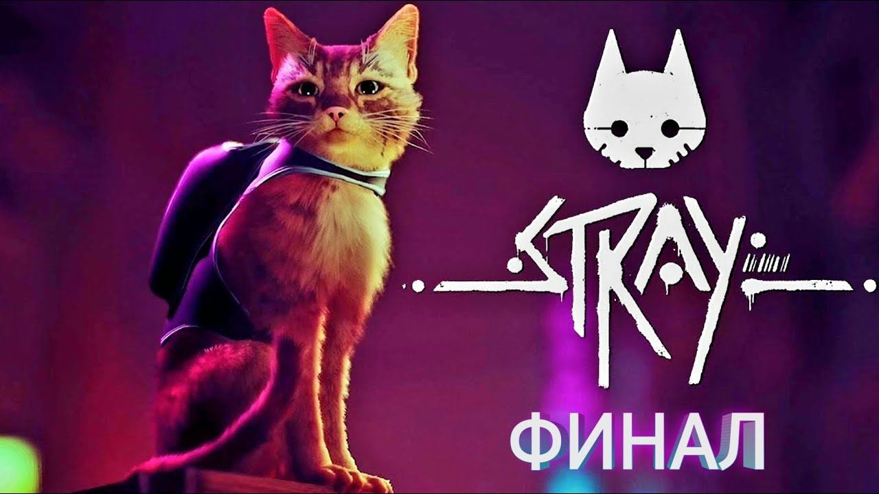 Прохождение Stray (ФИНАЛ)
