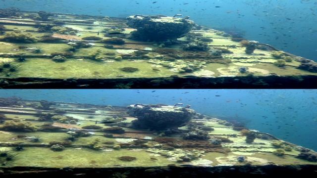 Diving (Explore The World) (1080p) / Дайвинг (исследуя мир) 3D видео