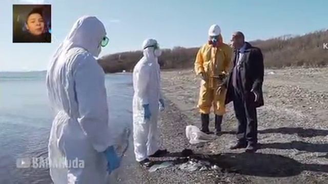 Реакция на Наливкина-3. Выпуск 7 - Спасает Камчатку