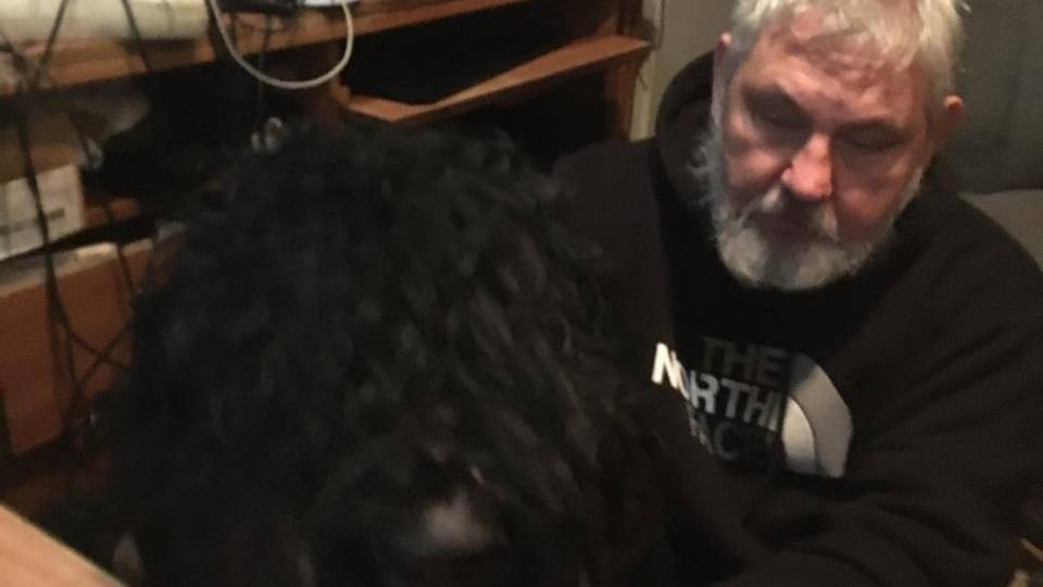 Лечение животных при помощи заговоров