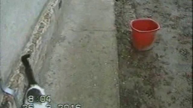 2016 Март Мама я